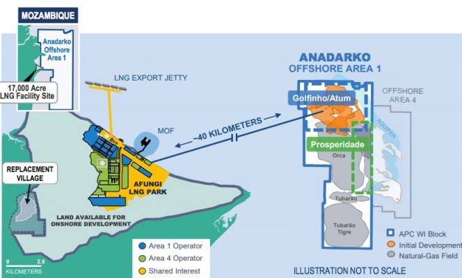 Mozambique LNG FID in June, says Anadarko