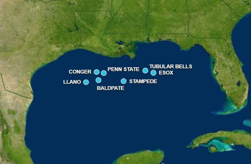 Shell Brings Online U.S. Gulf of Mexico Well, Hess Says