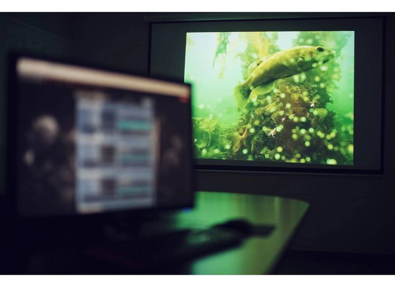 Tech File: Offshore Real-Time Video Streaming Solution Debuts